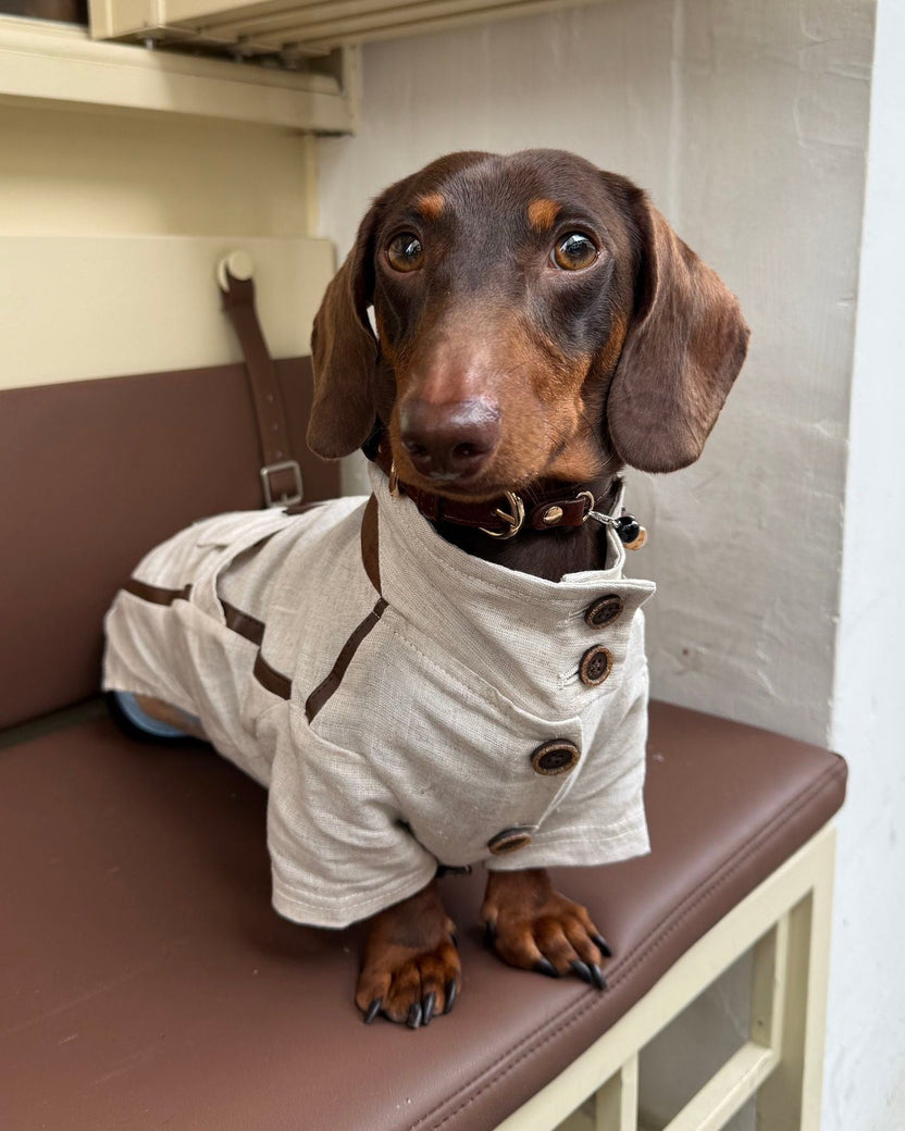 The City Boy Linen Utility Shirt – Dapper Weenie Co